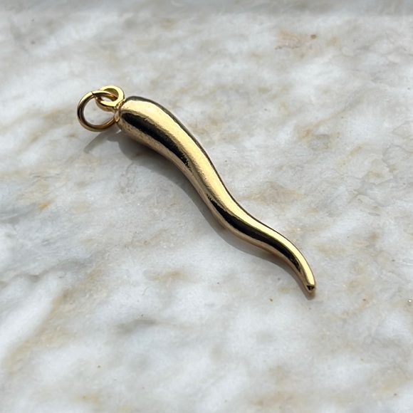 Jewelry | Italian Cornicello Horn Charm | Poshmark